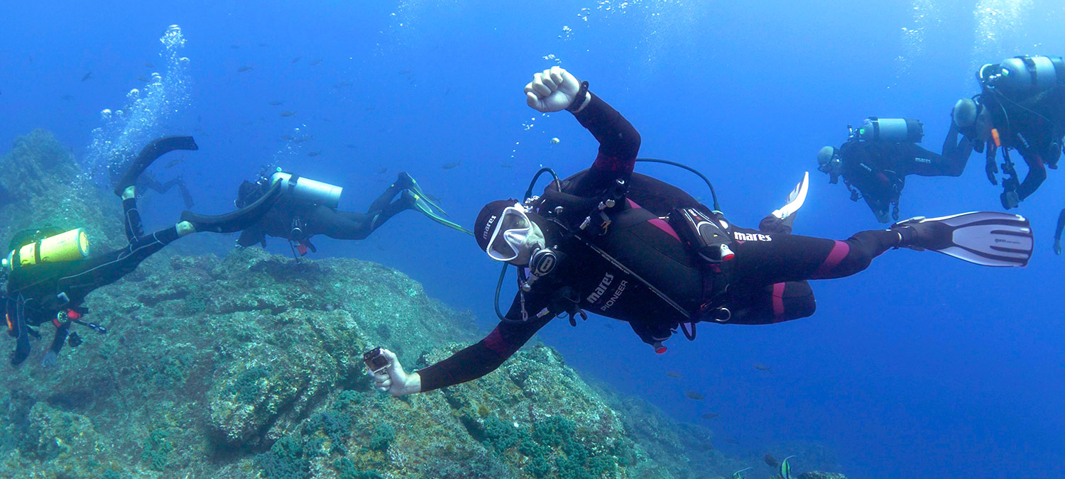 Professionnal Learning is fun! Certifications - See Creatures